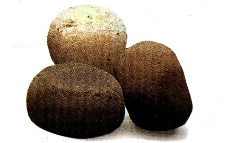 How Were the Pyramids of Egypt Built? – Mastercivilengineer