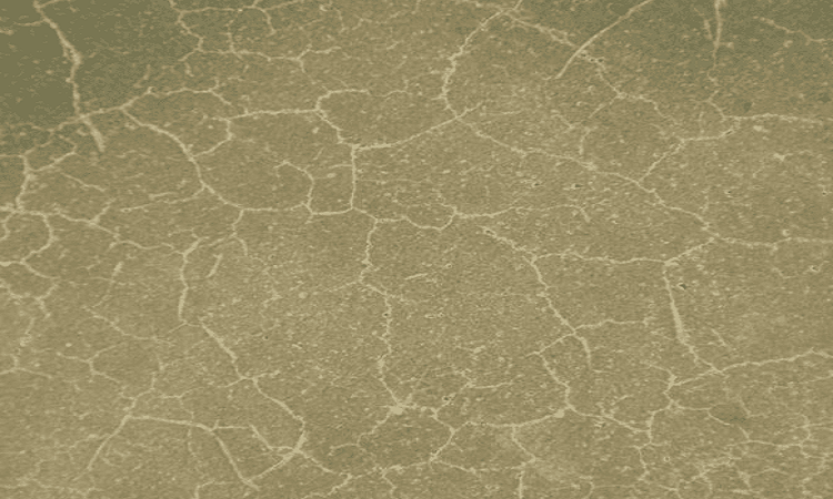 What is Crazing in Concrete? Its Causes and Preventive Measures ...